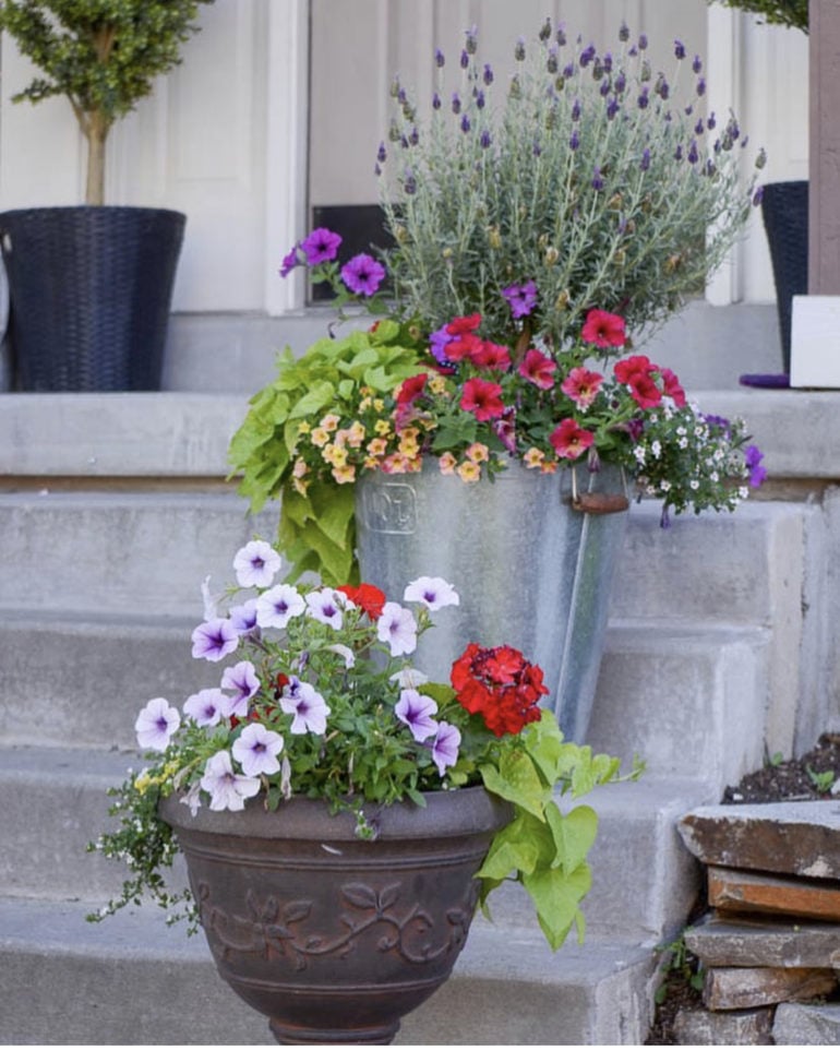Top Tips for Planting Flower Pots That Thrive - Brooke Nicole Larsen
