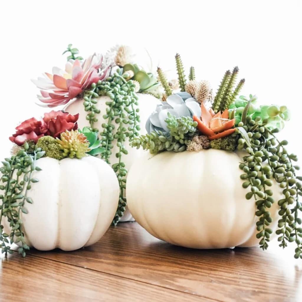 10 Unique Neutral Fall Decor Ideas You Will Love - Brooke Nicole Larsen