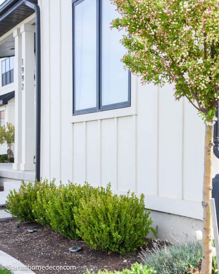How to Use Boxwood Landscaping to Design Like a Pro - Brooke Nicole Larsen