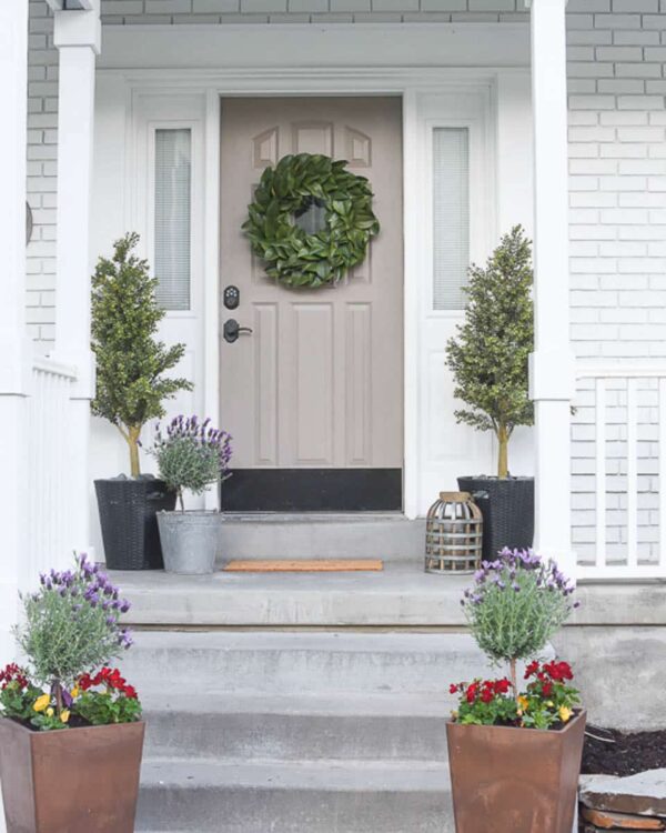 10 Beautiful Lollipop Trees to Sweeten Your Garden - Brooke Nicole Larsen