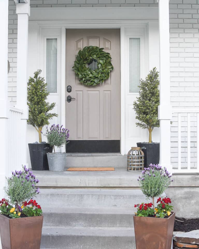 10 Beautiful Lollipop Trees to Sweeten Your Garden - Brooke Nicole Larsen