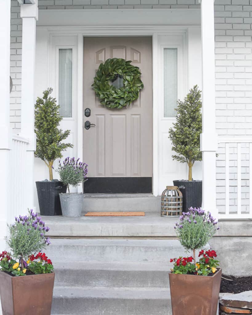 10 Beautiful Lollipop Trees to Sweeten Your Garden - Brooke Nicole Larsen