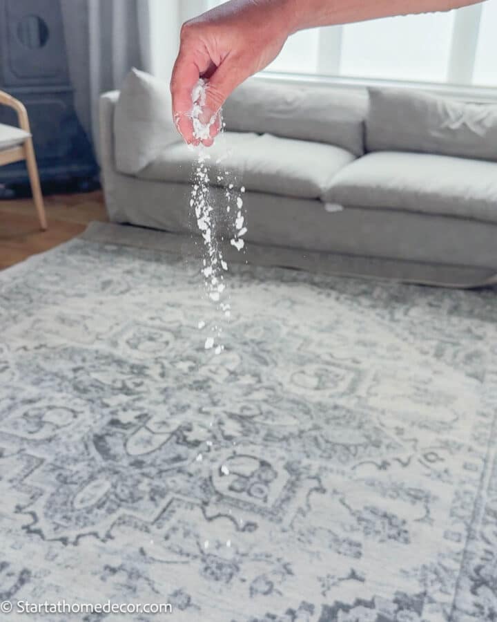 How to Deep Clean Your Rugs Like a Pro - Brooke Nicole Larsen