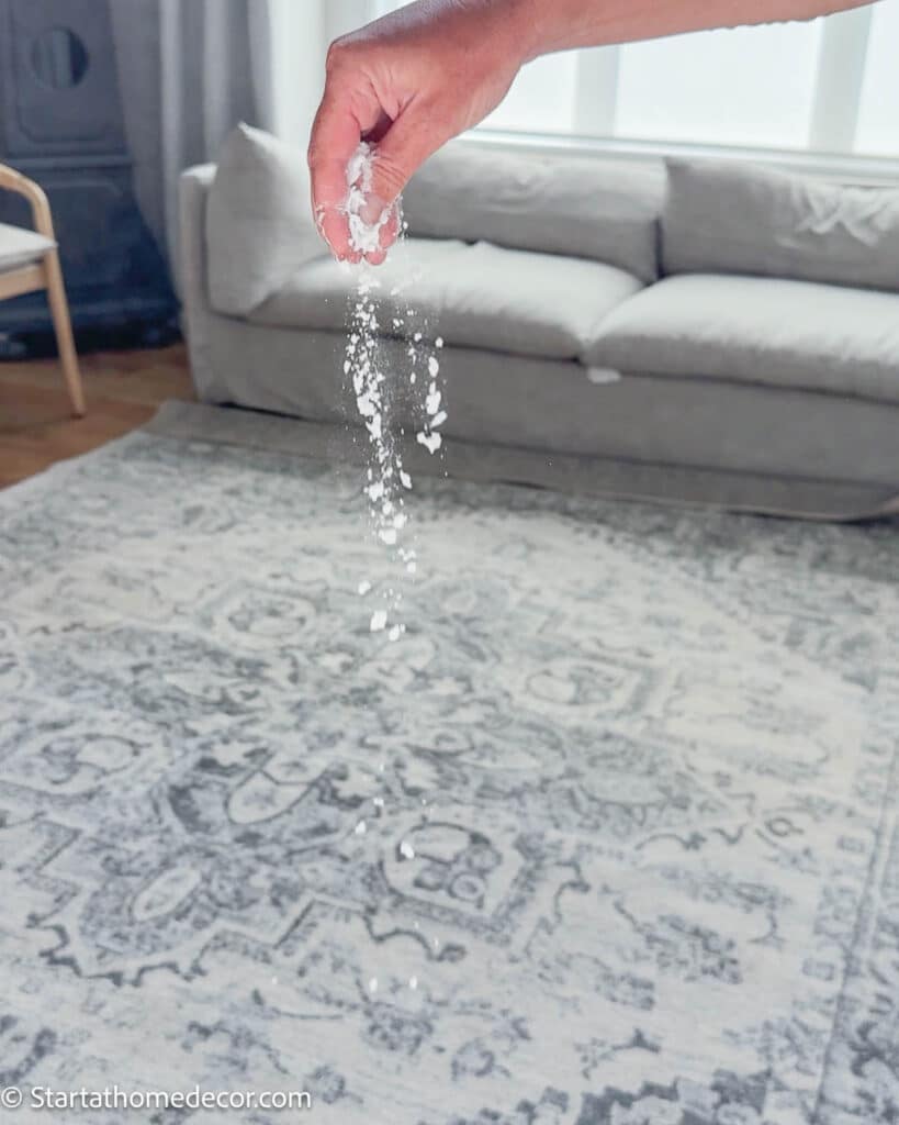 How to Deep Clean Your Rugs Like a Pro - Brooke Nicole Larsen